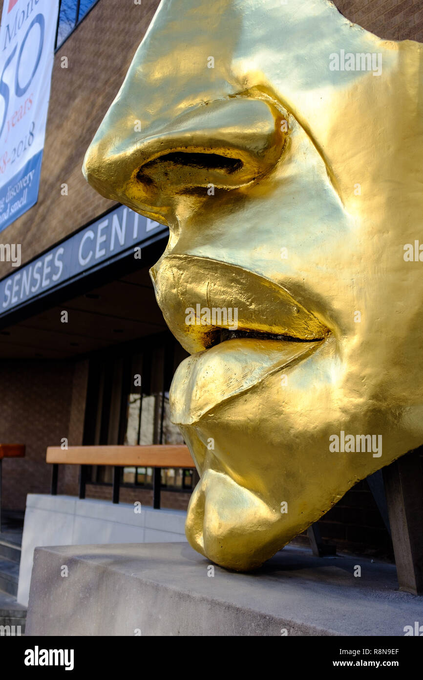 Monell hi-res stock photography and images - Alamy