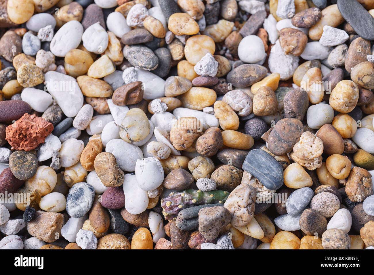 Mixed of multi-color of pebble stones in different size background ...