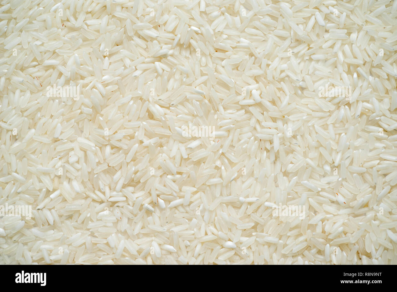 White long rice background, uncooked raw cereals Stock Photo - Alamy
