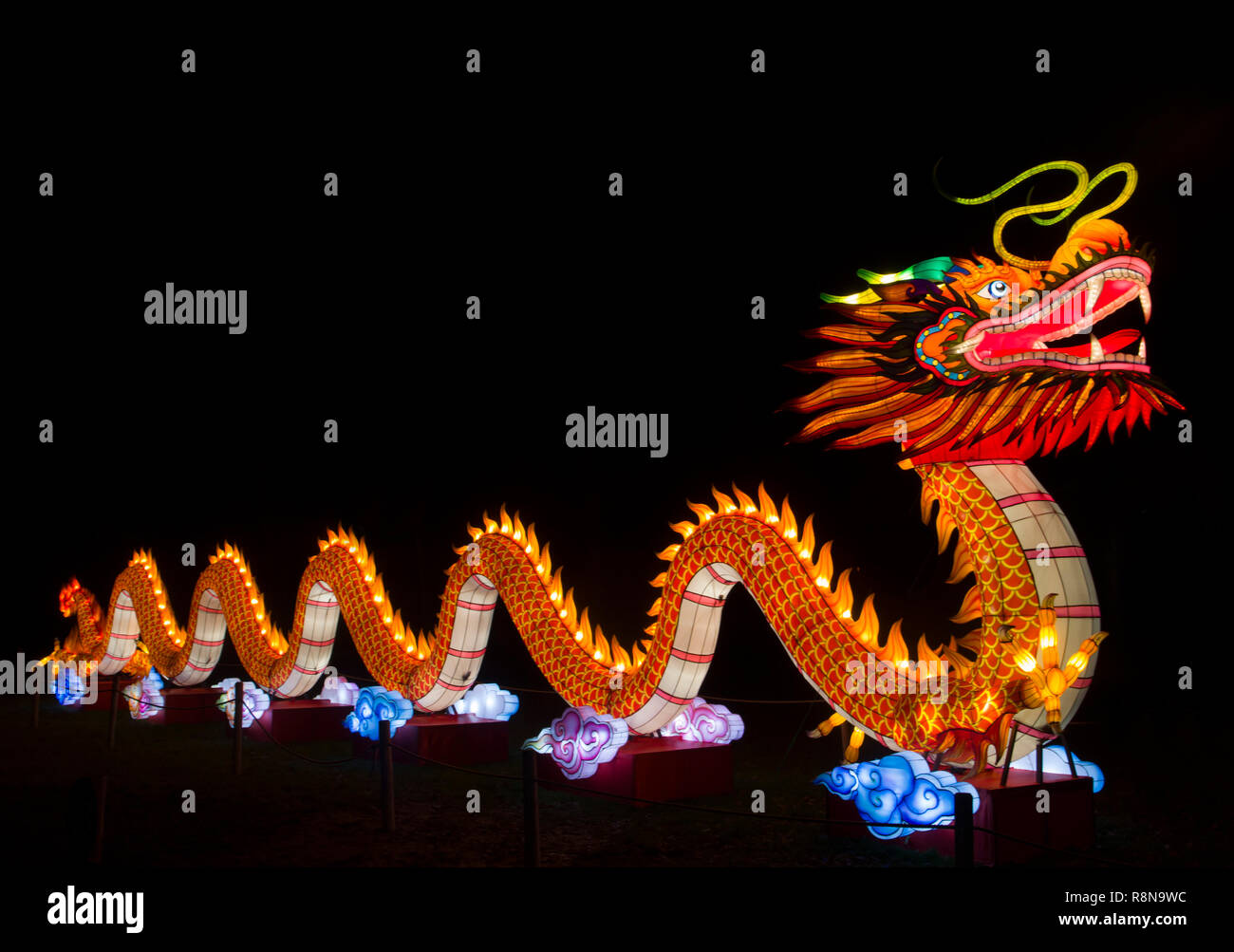 illuminated Chinese dragon light object during china lightfestival ...