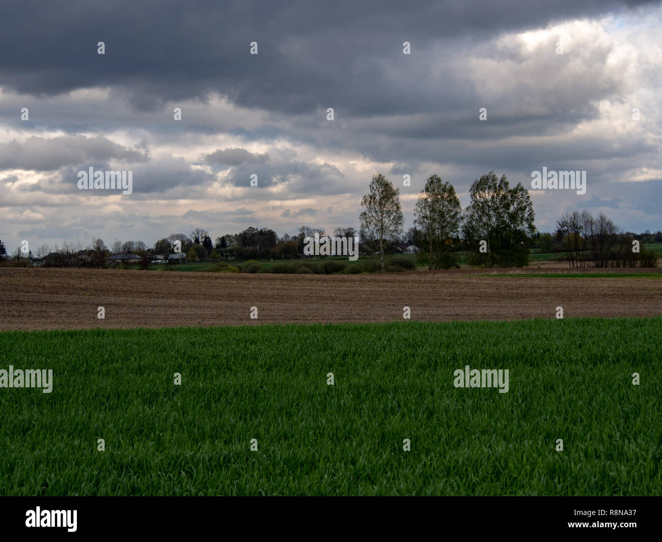 Spring horizontal hi-res stock photography and images - Alamy