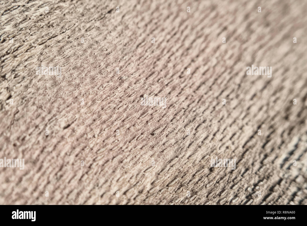 Porous texture hi-res stock photography and images - Alamy