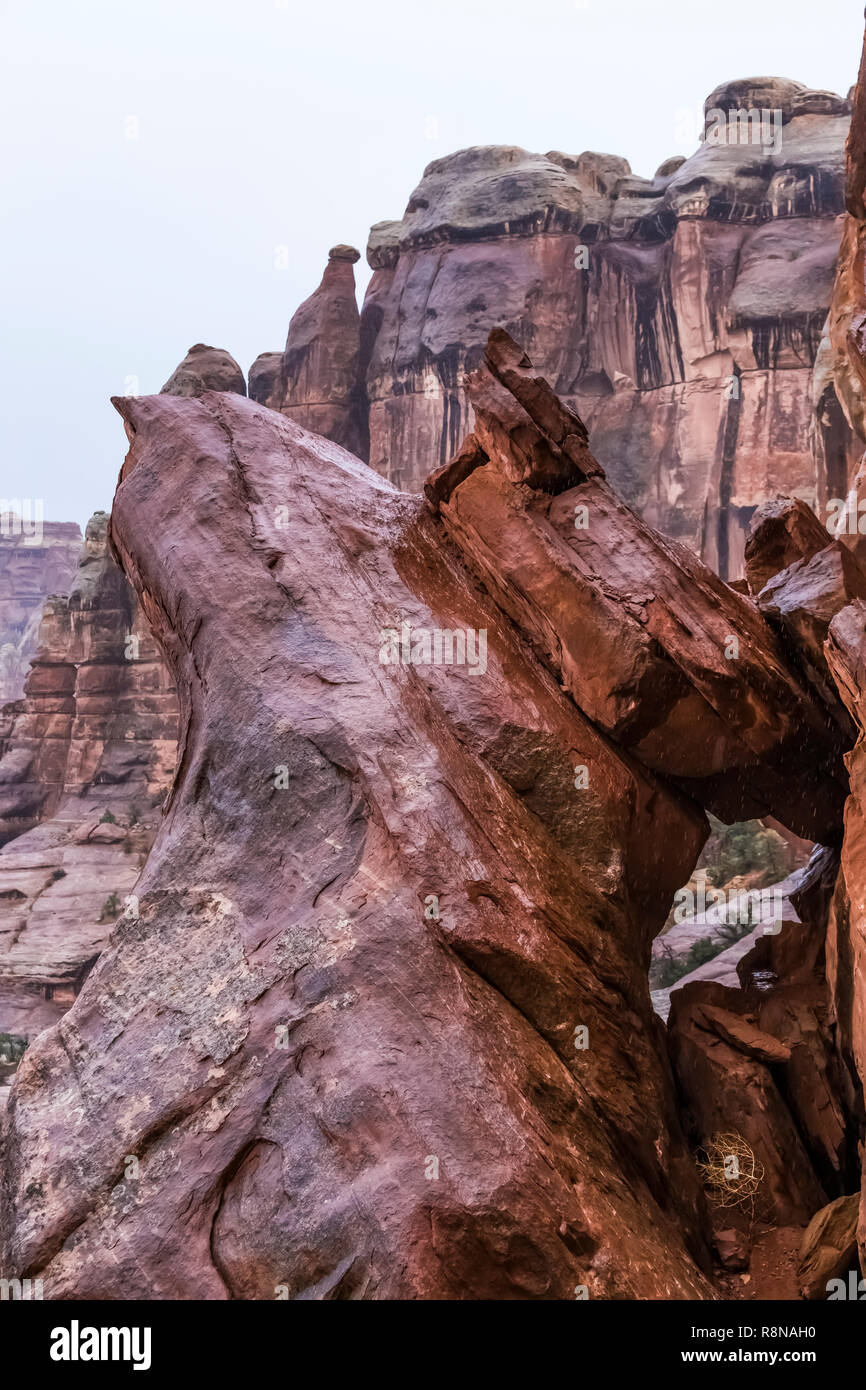Rainy autumn day along the Chesler Park Loop Trail in the Needles ...