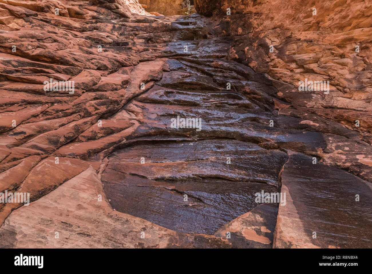 on the Chesler Park Loop Trail in the Needles District of Canyonlands ...