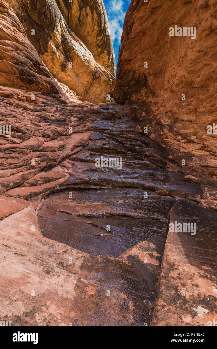 on the Chesler Park Loop Trail in the Needles District of Canyonlands ...