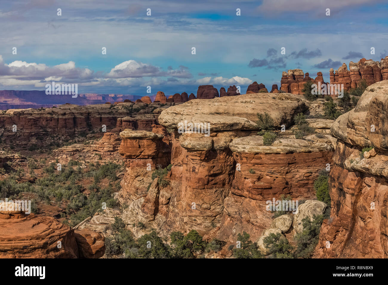 Dramatic sandstone landscapes of slickrock and spires along the Chesler ...