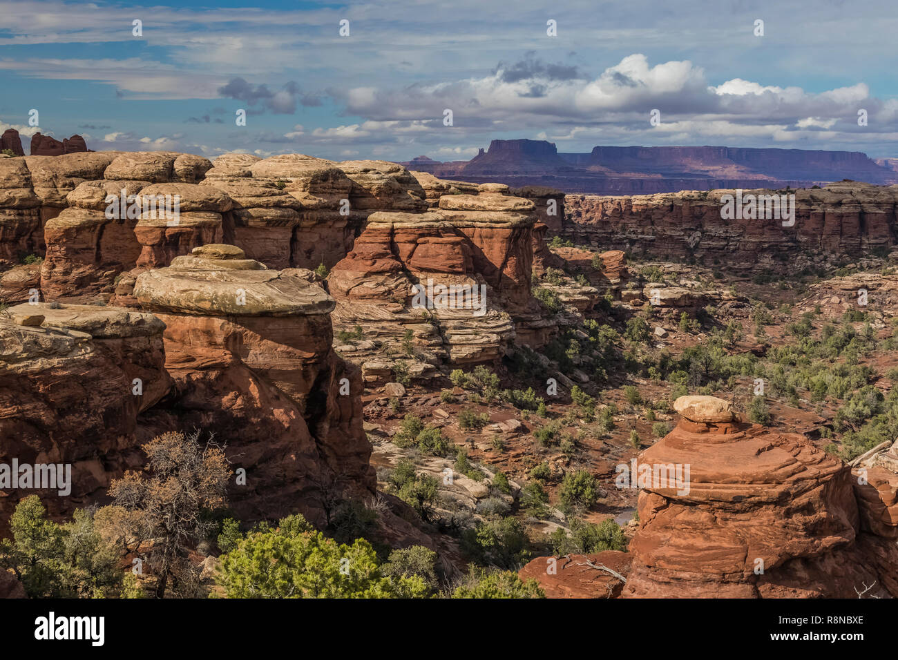Canyonlands needles hike hi-res stock photography and images - Alamy