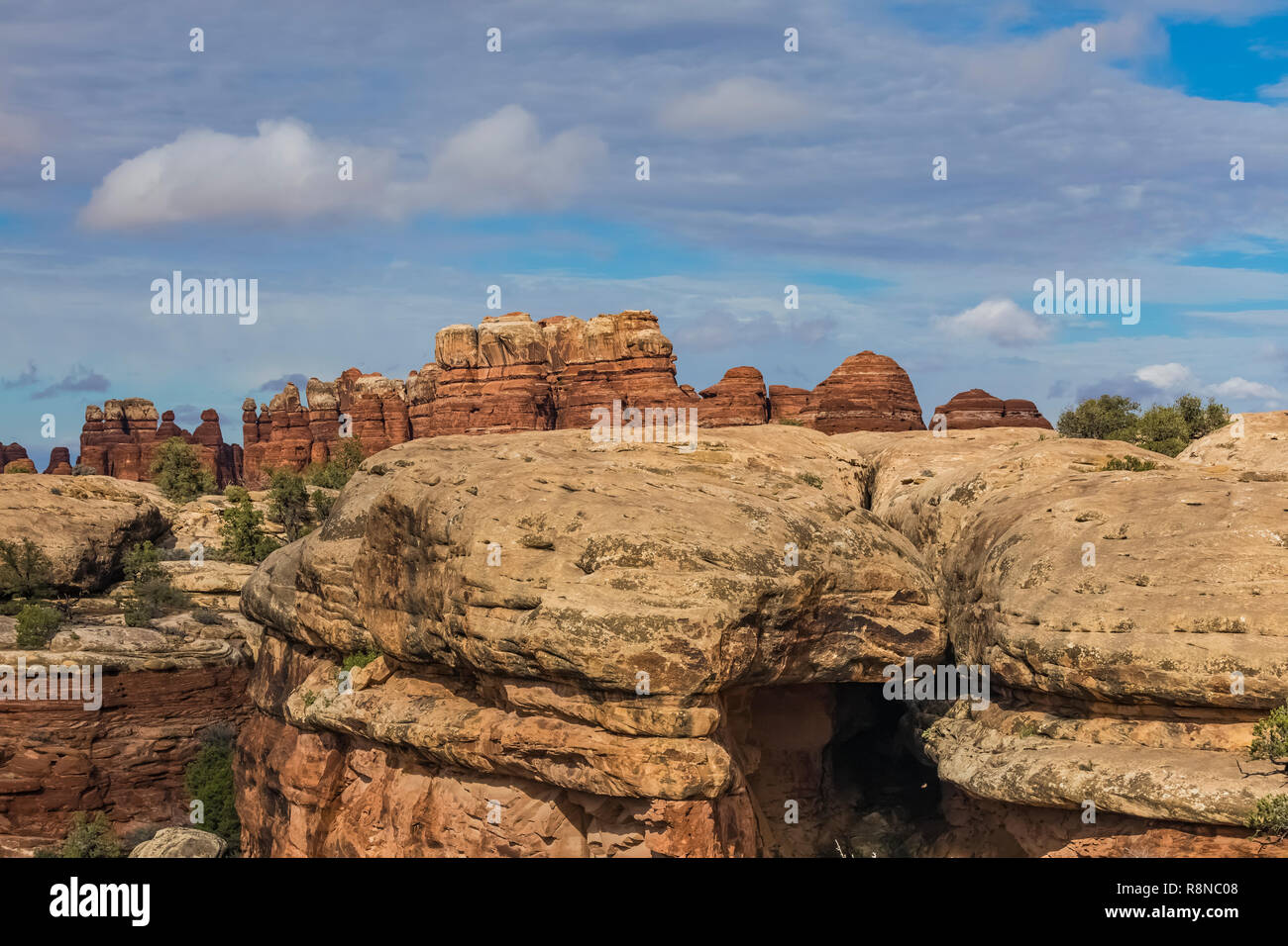 Dramatic sandstone landscapes of slickrock and spires along the Chesler ...