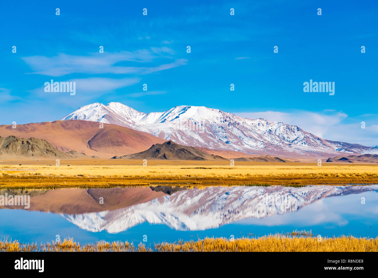 Beautiful landscape of Ulgii in western Mongolia with the river, the ...