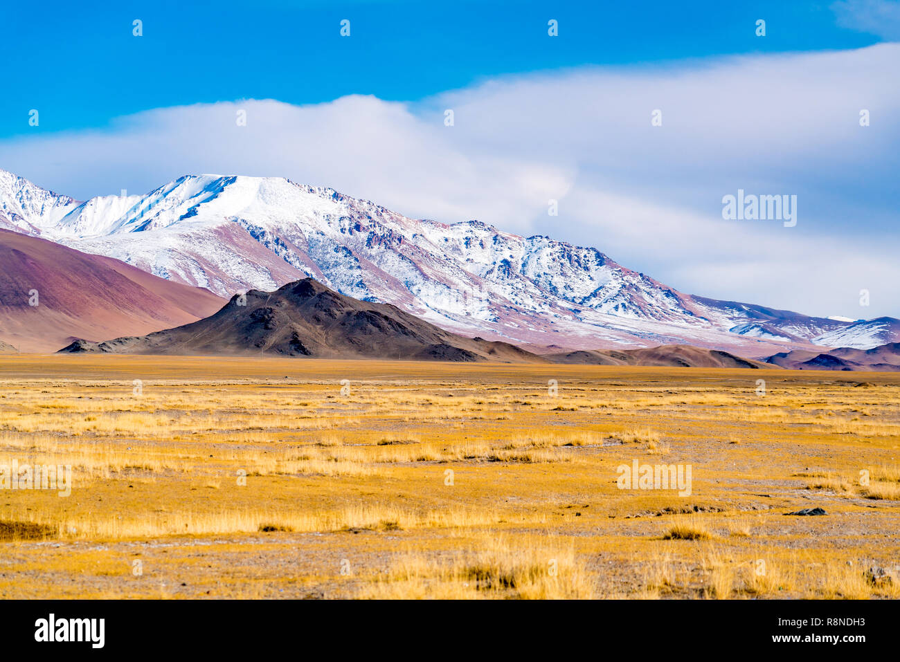 View of the beautiful mountain and the large yellow steppe in the sunny ...