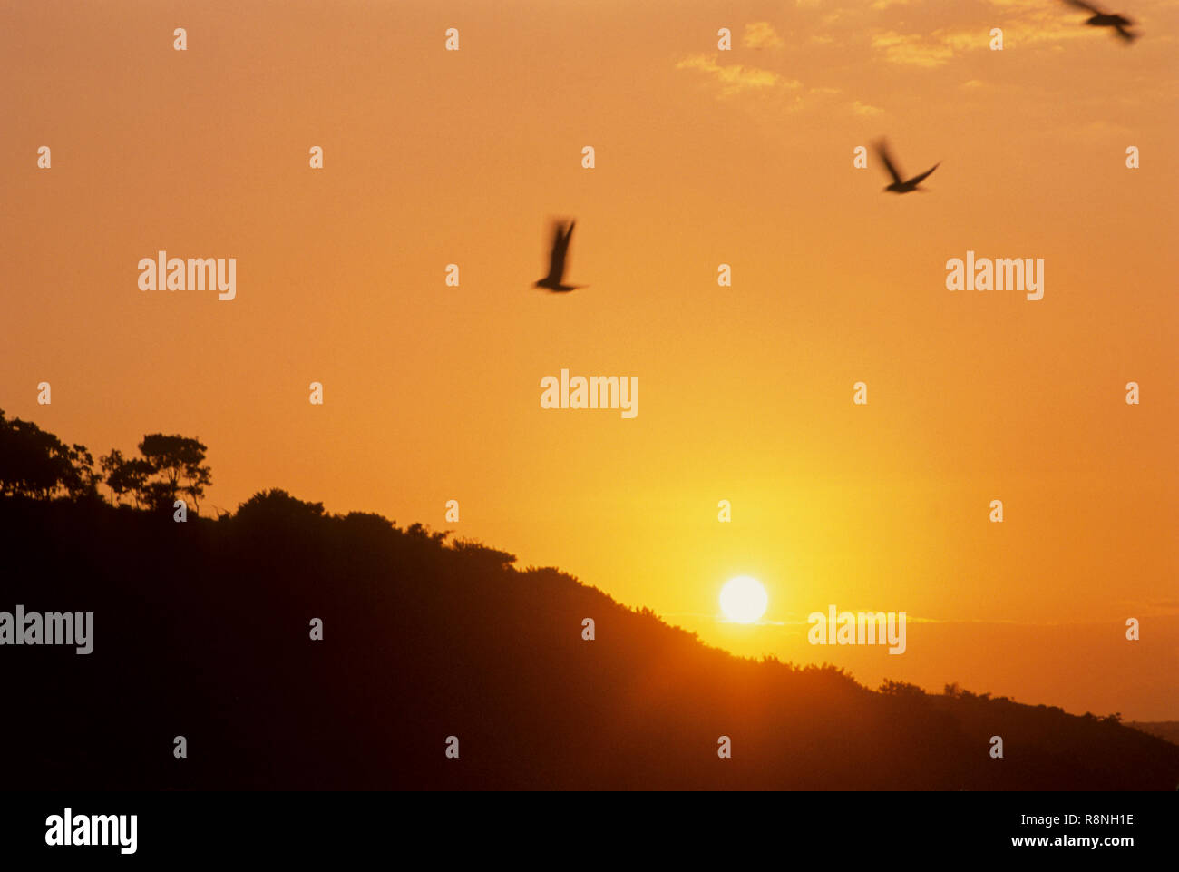 Pleasant sunset hi-res stock photography and images - Alamy