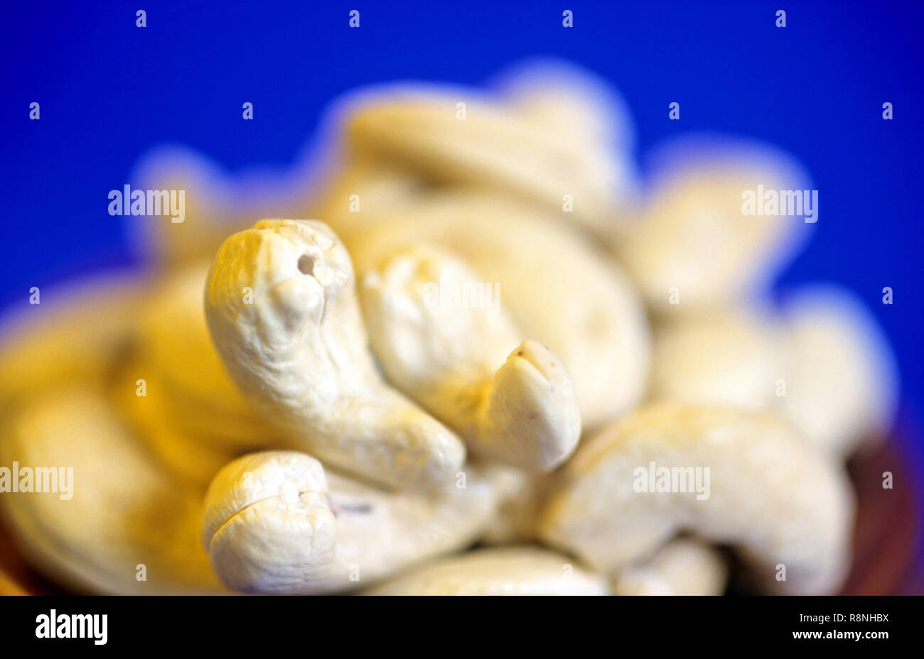 Dryfruits - Cashewnuts Stock Photo - Alamy