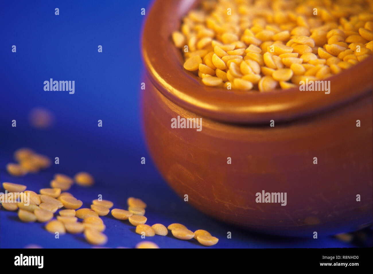 Split Yellow Lentils Beans (Lens culinaris Stock Photo - Alamy