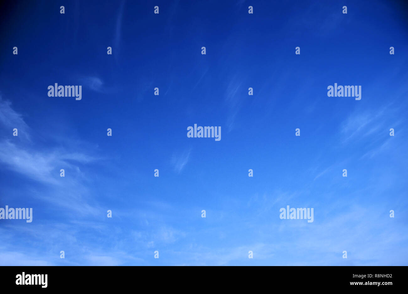 Ephemeral nature hi-res stock photography and images - Alamy