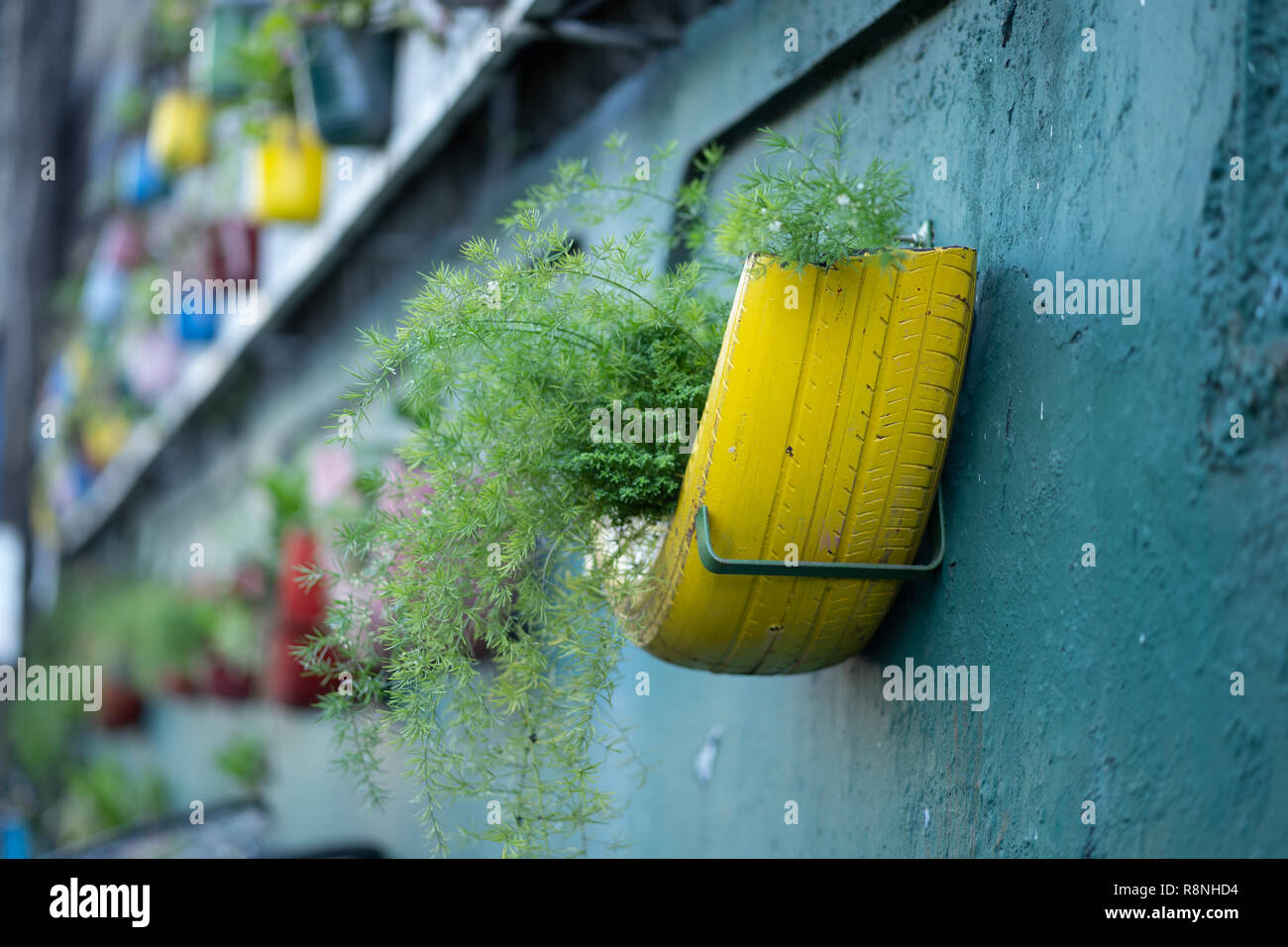 Half plants hi-res stock photography and images - Alamy