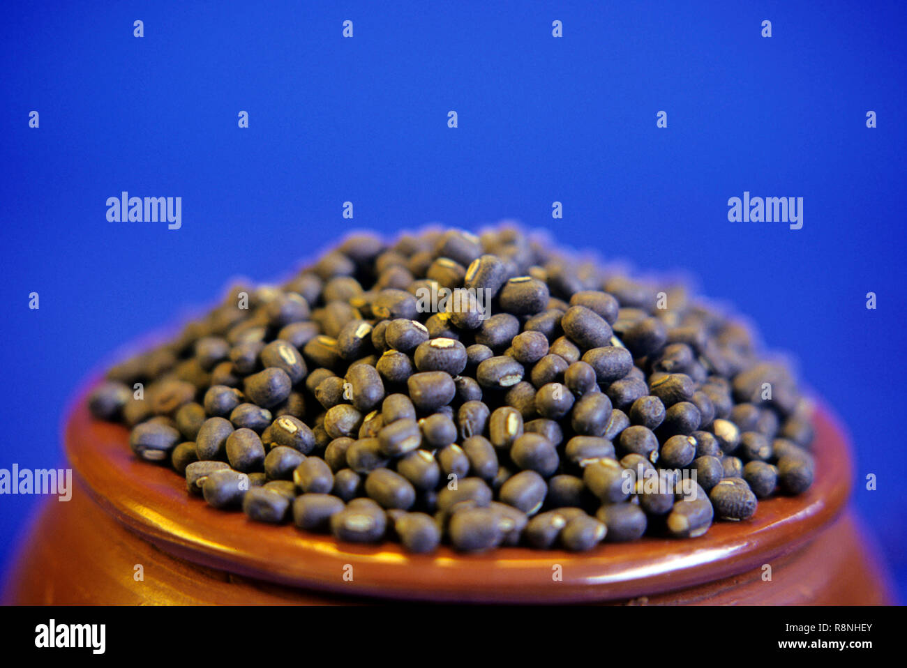 whole black lentils (lens culinaris), india Stock Photo - Alamy