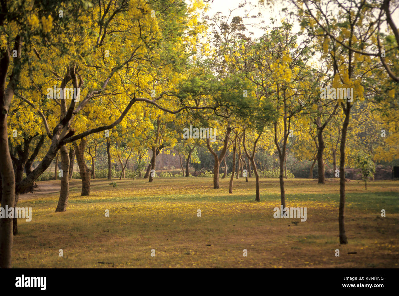 Spring season seasons hi-res stock photography and images - Alamy