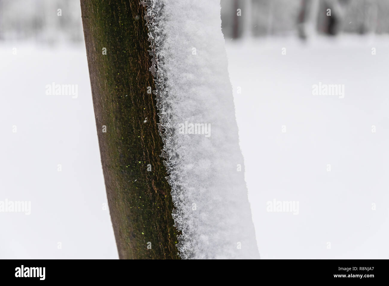 Snowflakes are falling hi-res stock photography and images - Alamy