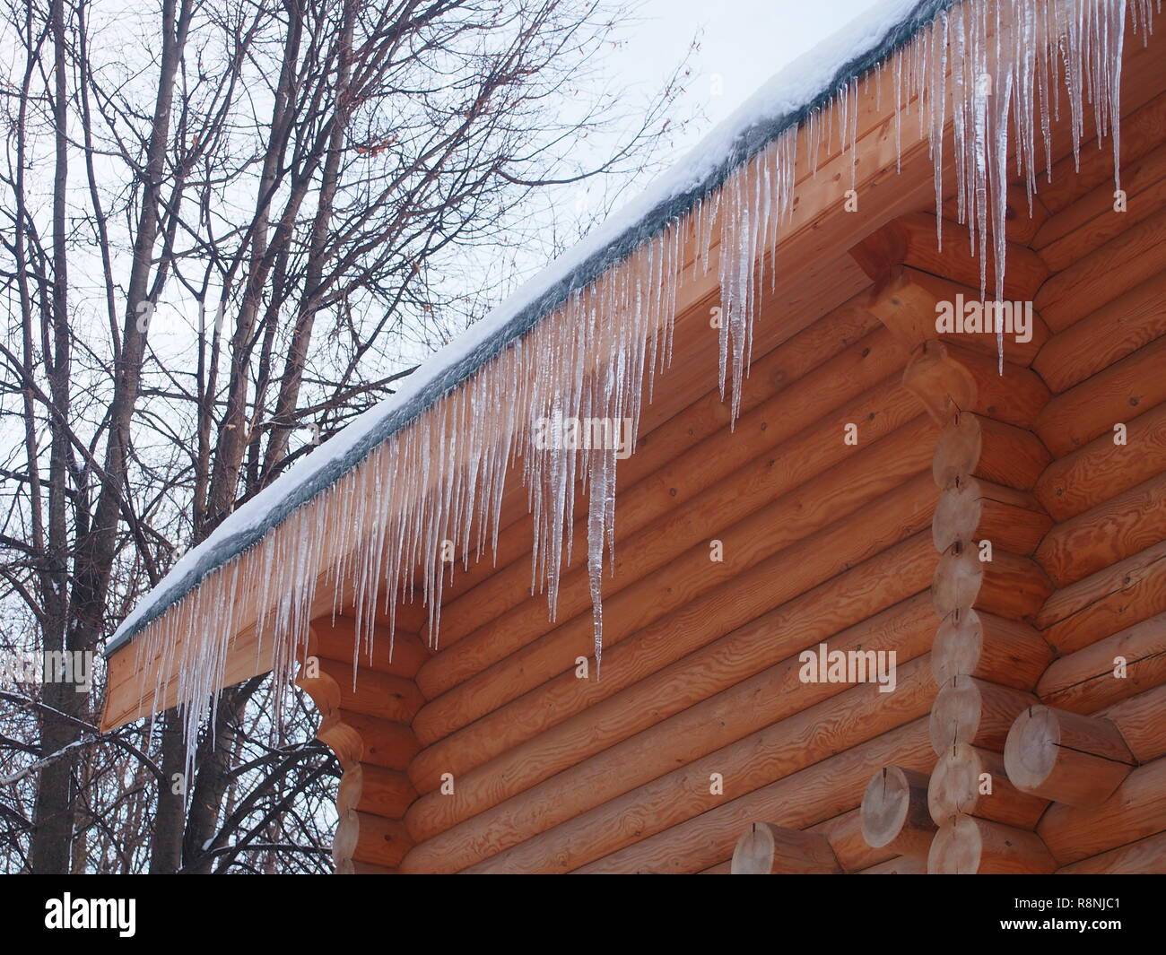Large icicles hanging from the roof of a log house. Winter Stock Photo ...