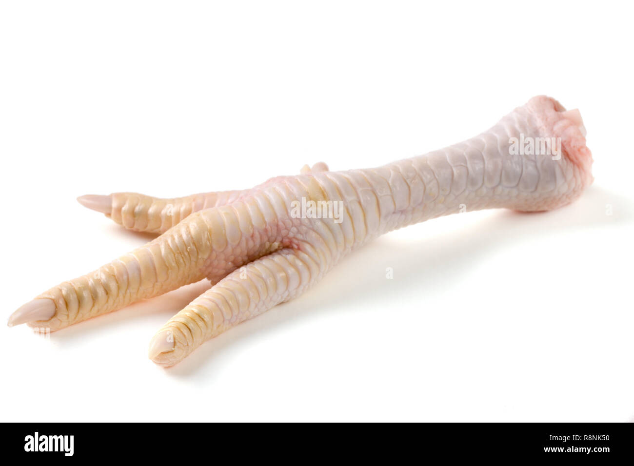 one chicken paw isolated on white background Stock Photo - Alamy