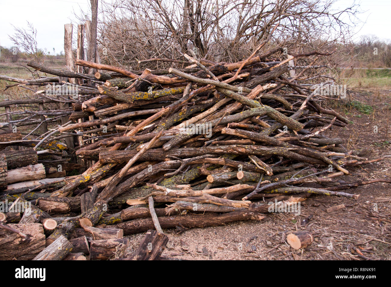 Log preparation hi-res stock photography and images - Alamy