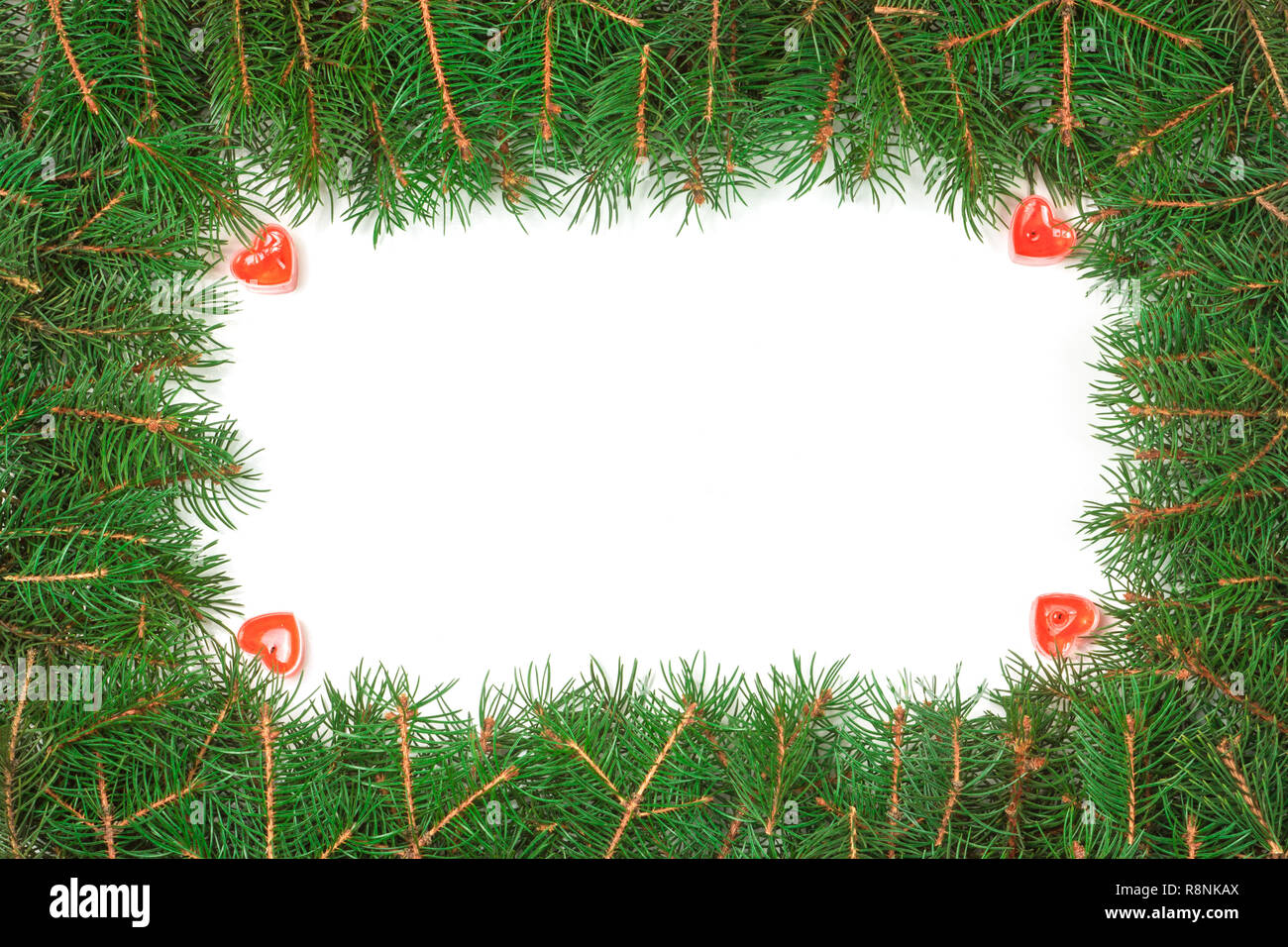 Christmas frame made of fir branches isolated on white background Stock ...
