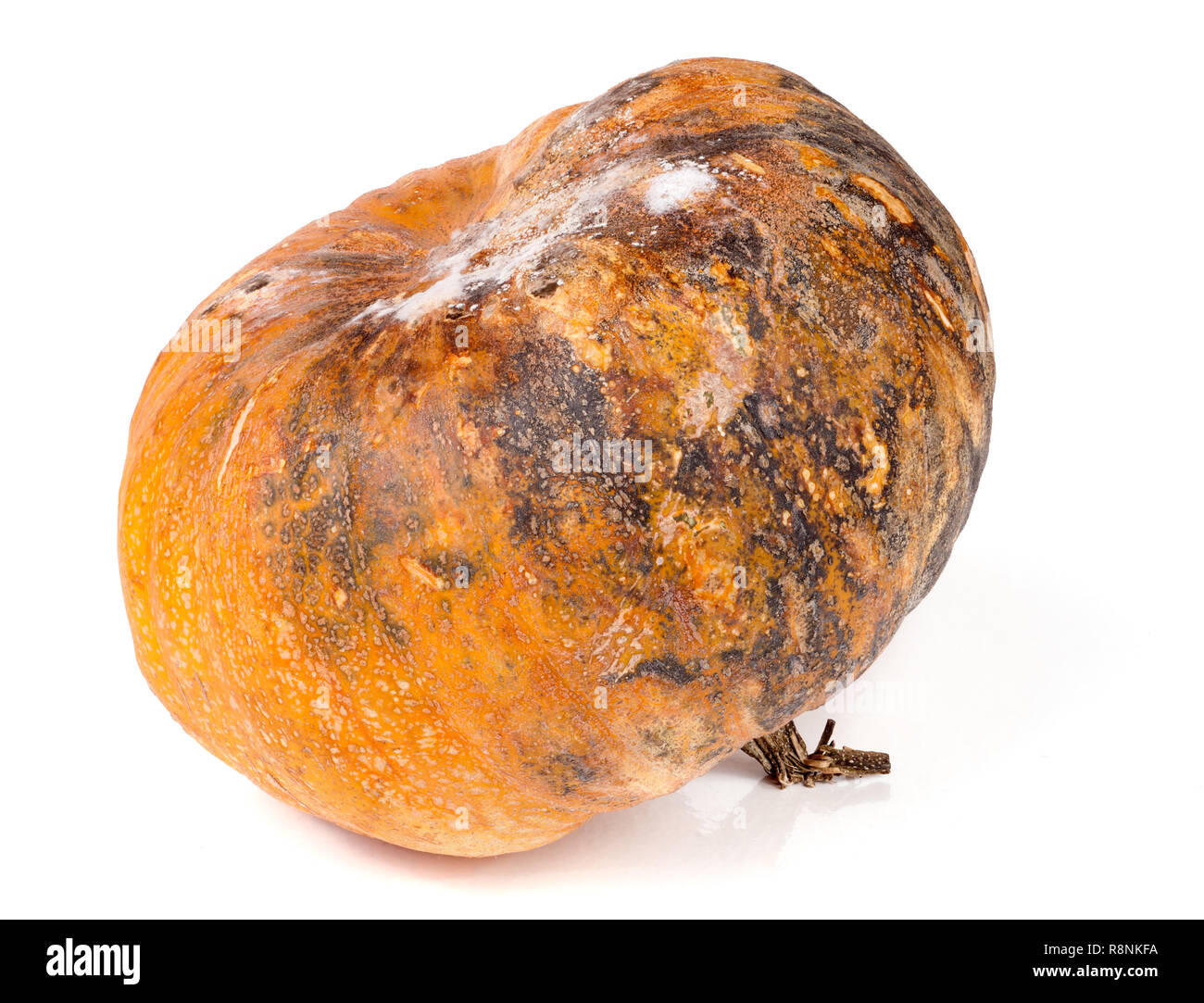 pumpkin with mold isolated on white background Stock Photo - Alamy