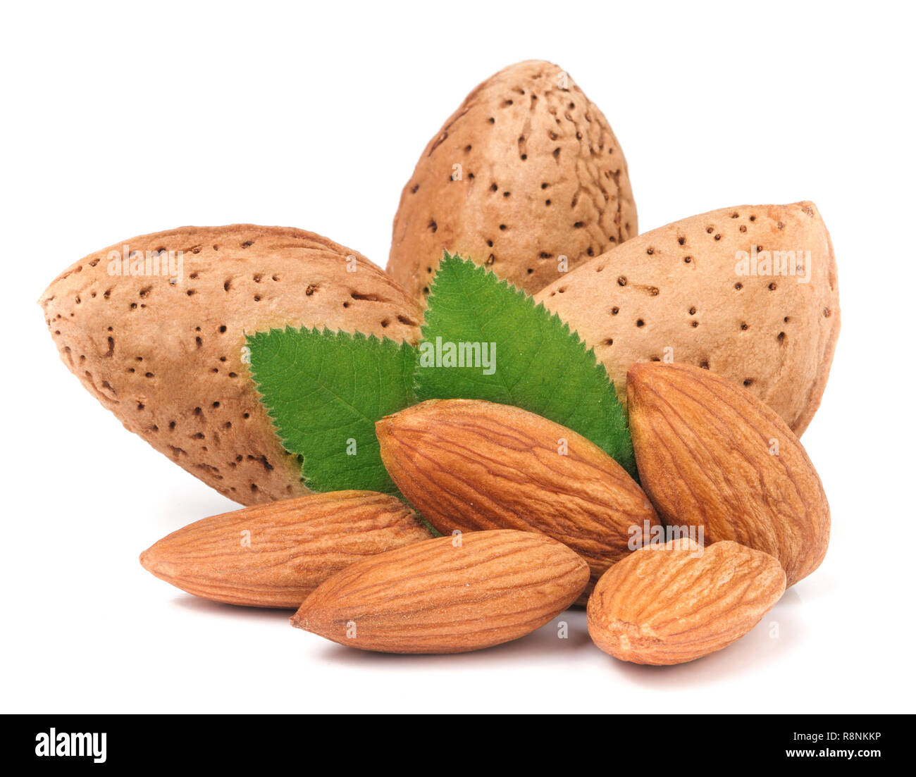 almonds in their skins and peeled with leaf isolated on white ...