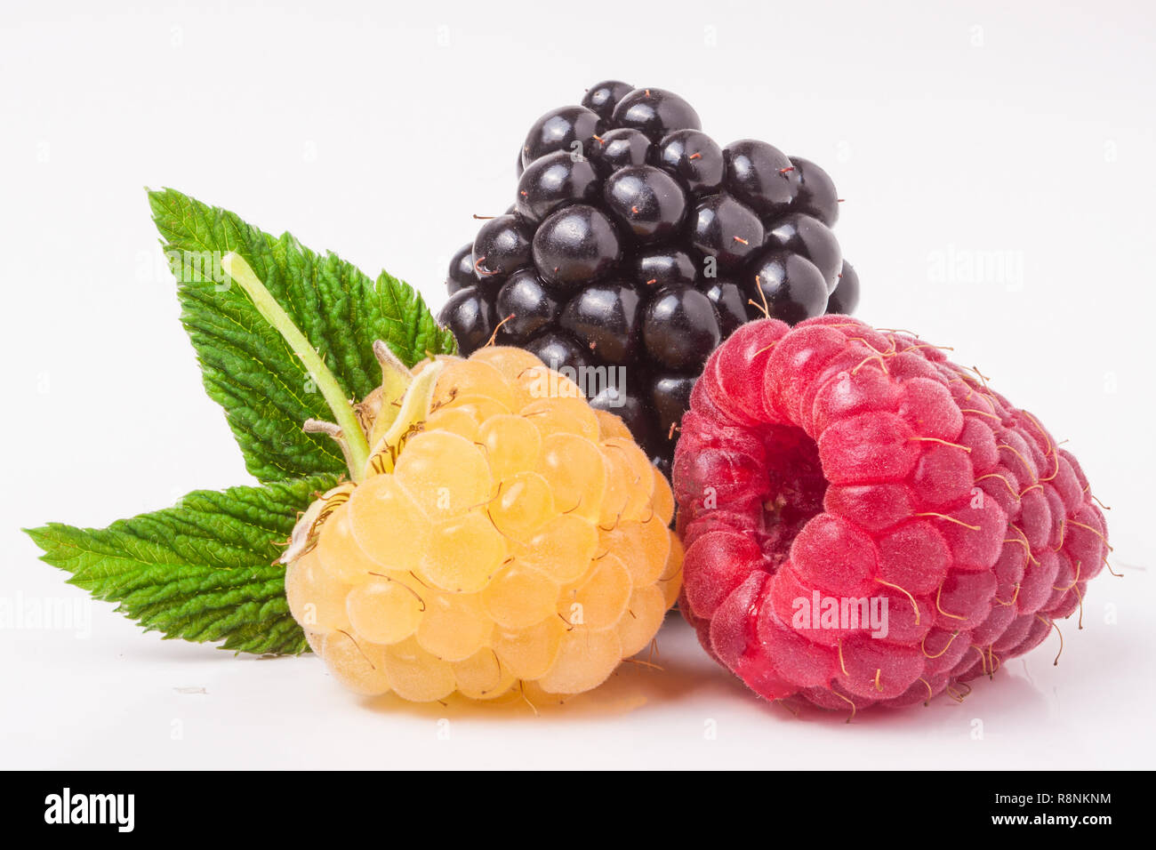 raspberries and blackberries with leaf isolated on white background ...