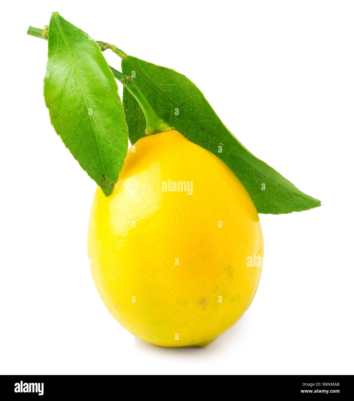 Fresh lemon isolated on white Stock Photo - Alamy