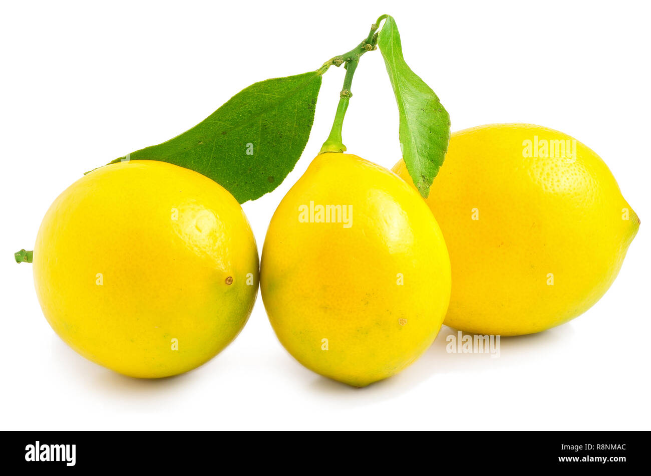 three lemons on a white background Stock Photo - Alamy