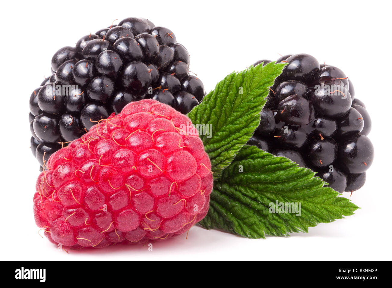 raspberries and blackberries with leaf isolated on white background ...