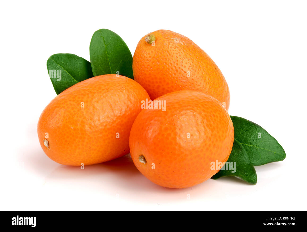 Cumquat or kumquat with leaf isolated on white background close up ...