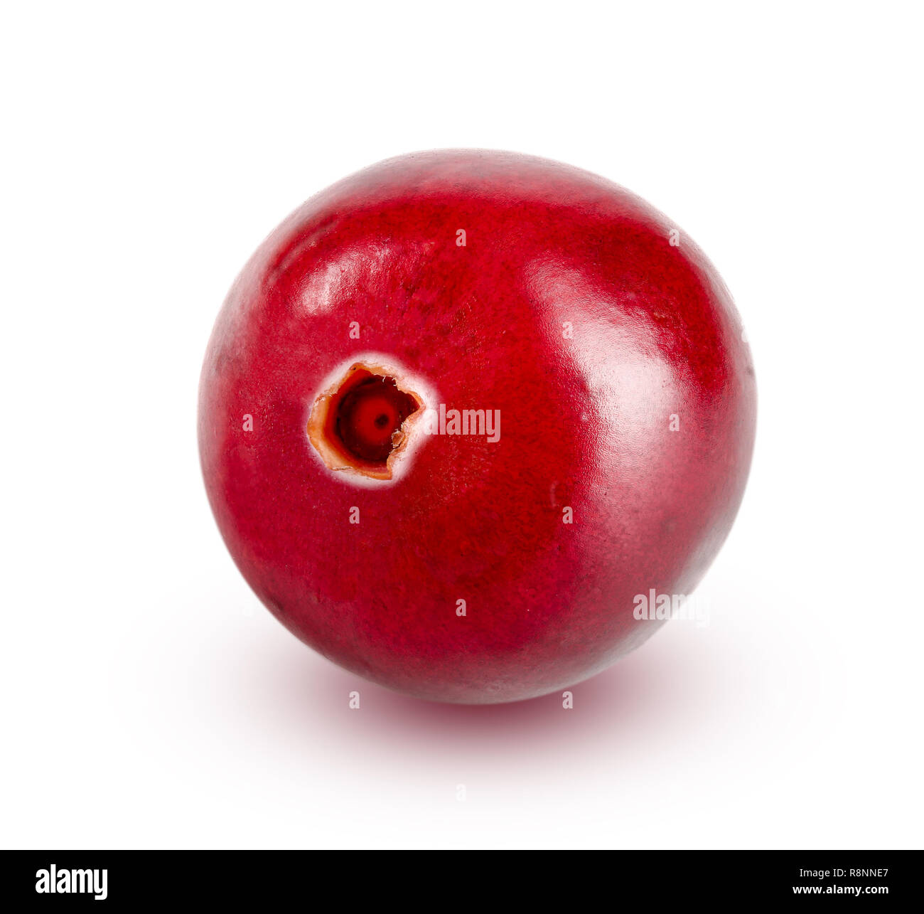 Single Cranberry Clipart