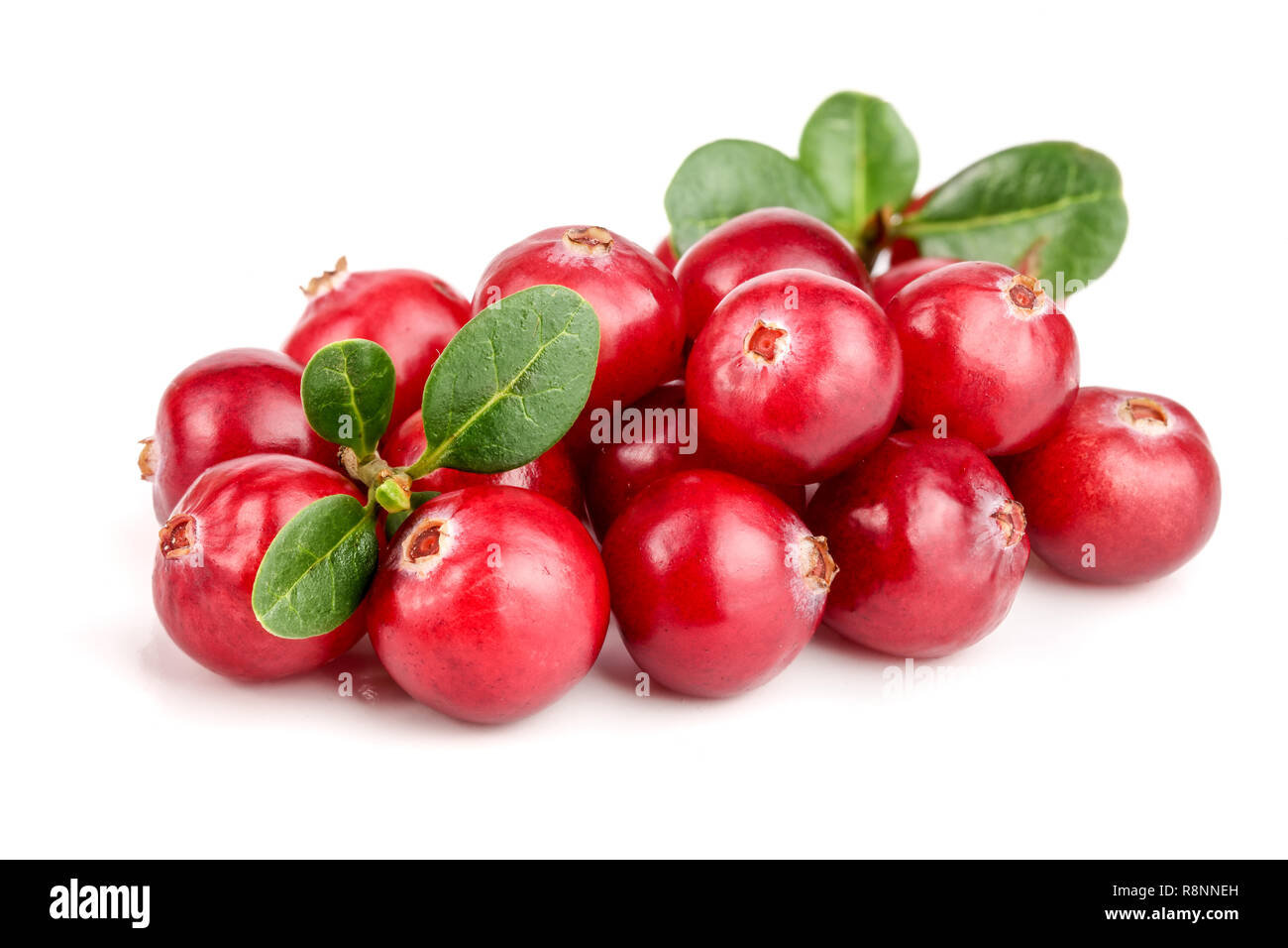 Cranberry with leaf isolated on white background closeup macro Stock ...