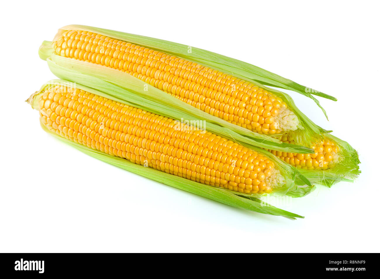 ear of corn isolated on a white background Stock Photo - Alamy