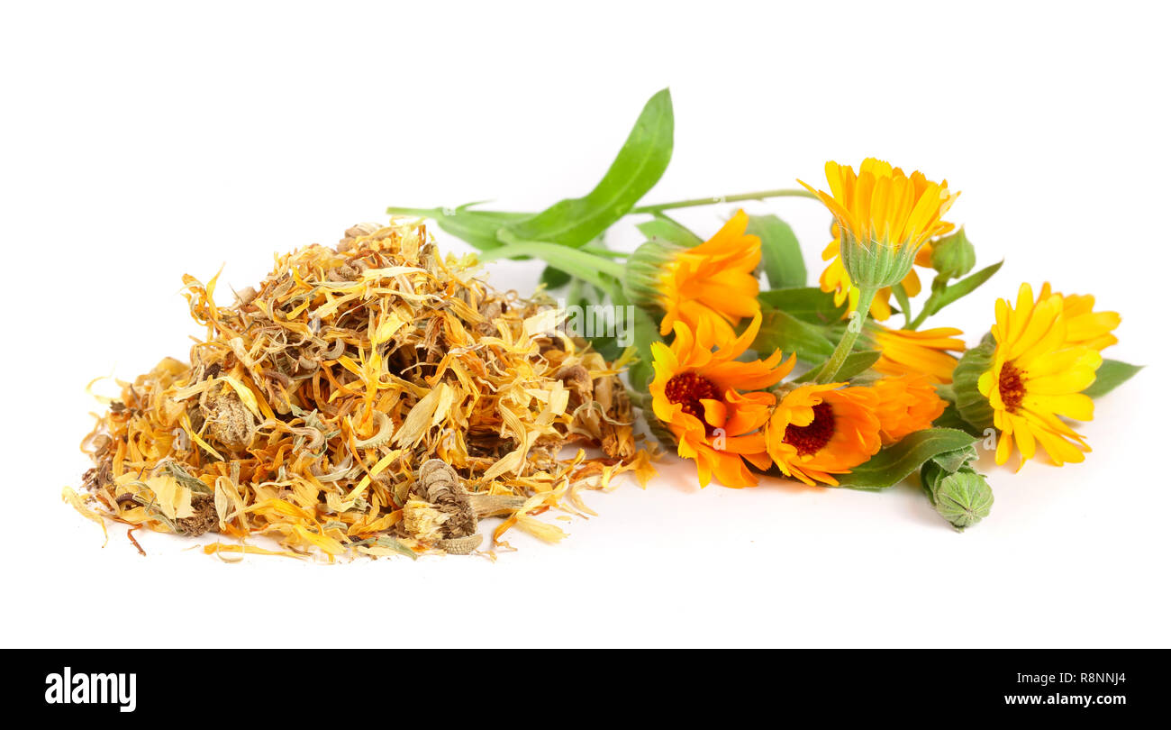 Fresh and dried calendula flowers isolated on white background ...