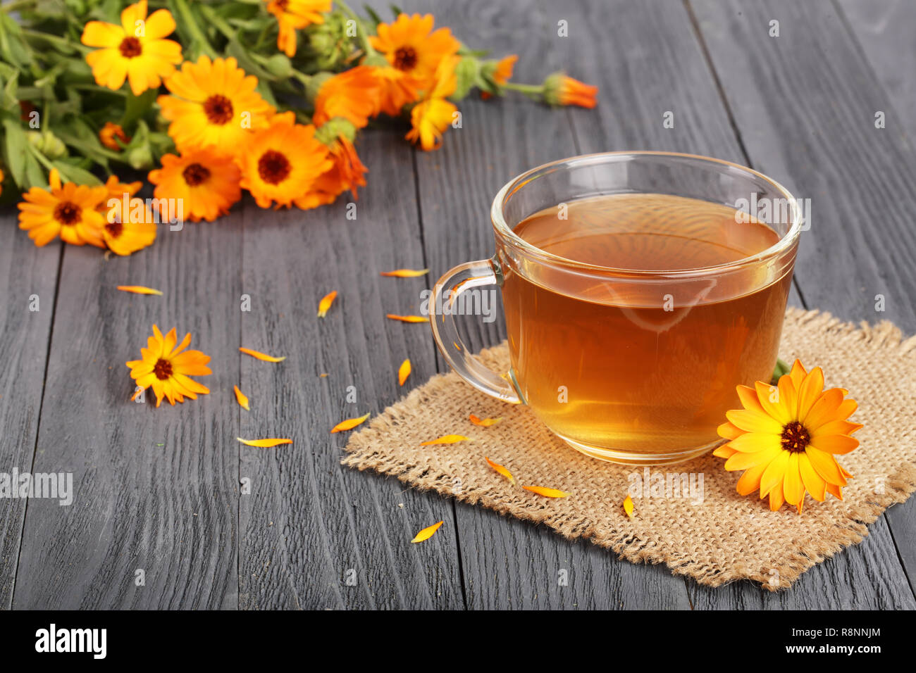 Calendula plant hi-res stock photography and images - Alamy