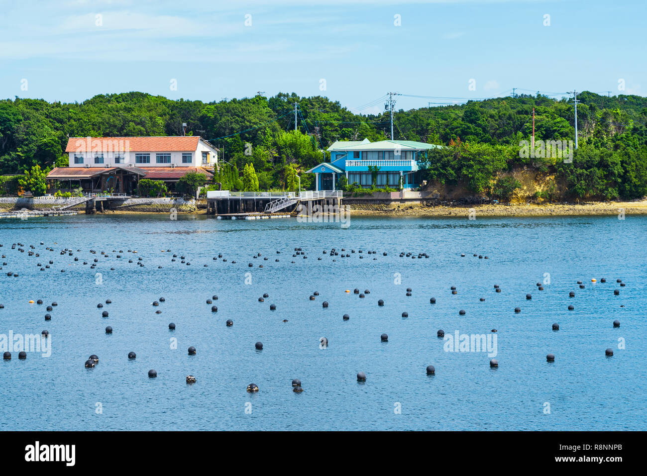 Pearl farming hi-res stock photography and images - Alamy
