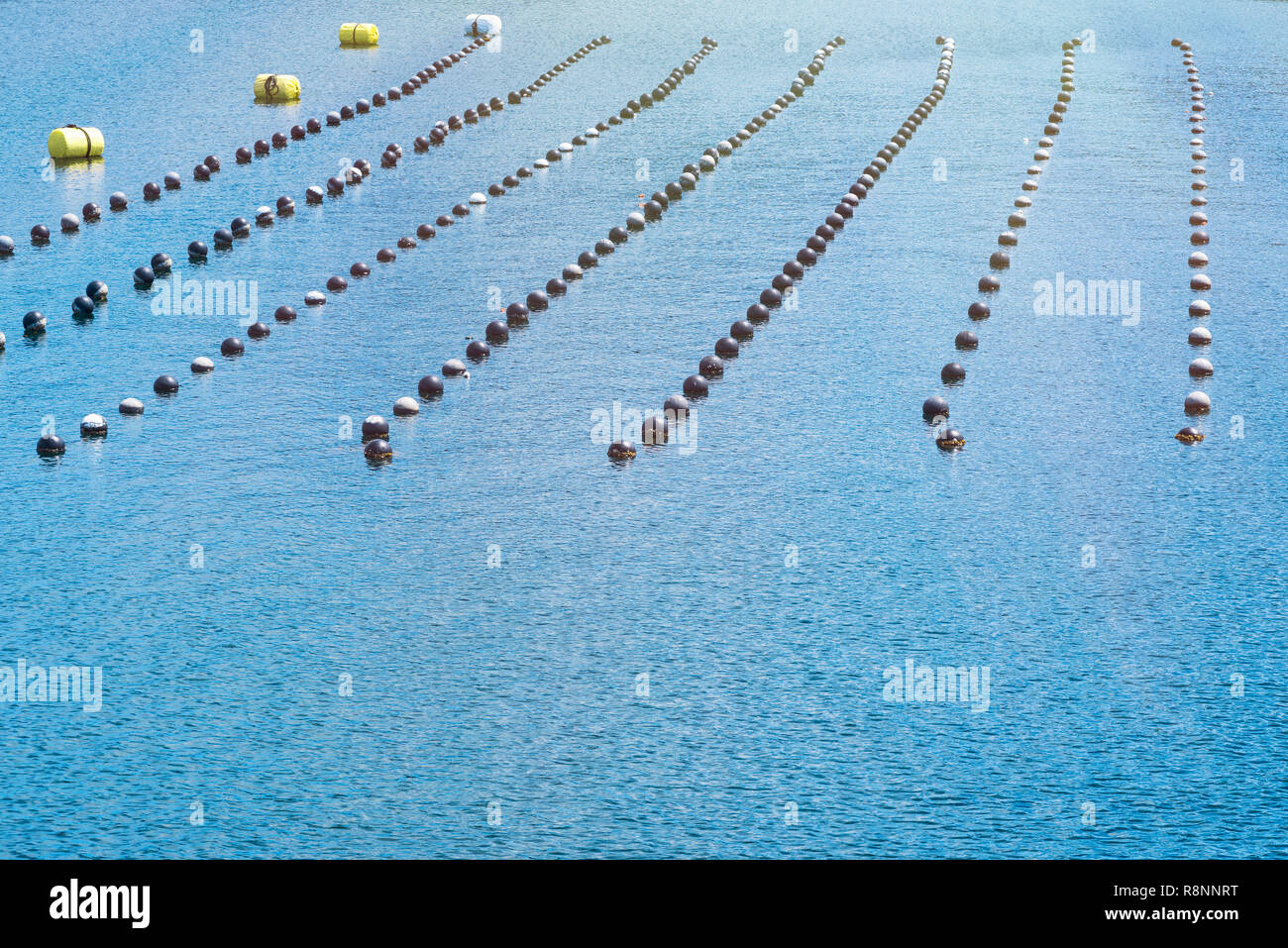 Pearl rows in the ocean, production and cultivation of pearls in the ...