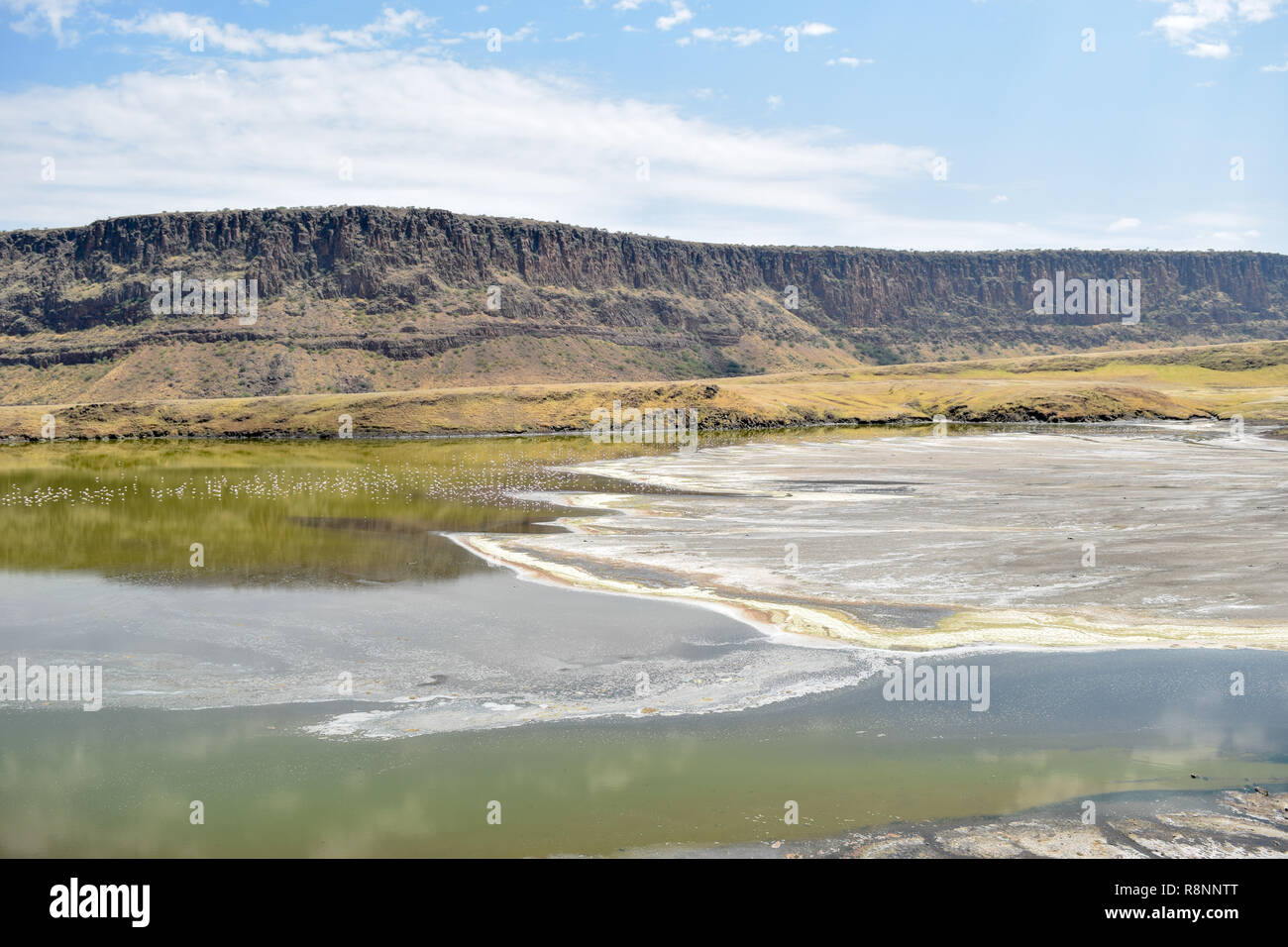 The arid landscapes of Lake Magadi, Rift Valley, Kenya Stock Photo - Alamy