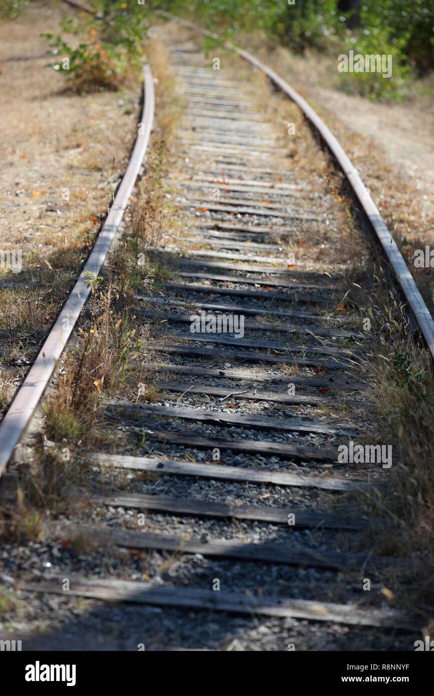 Old forgotten railway tracks hi-res stock photography and images - Alamy