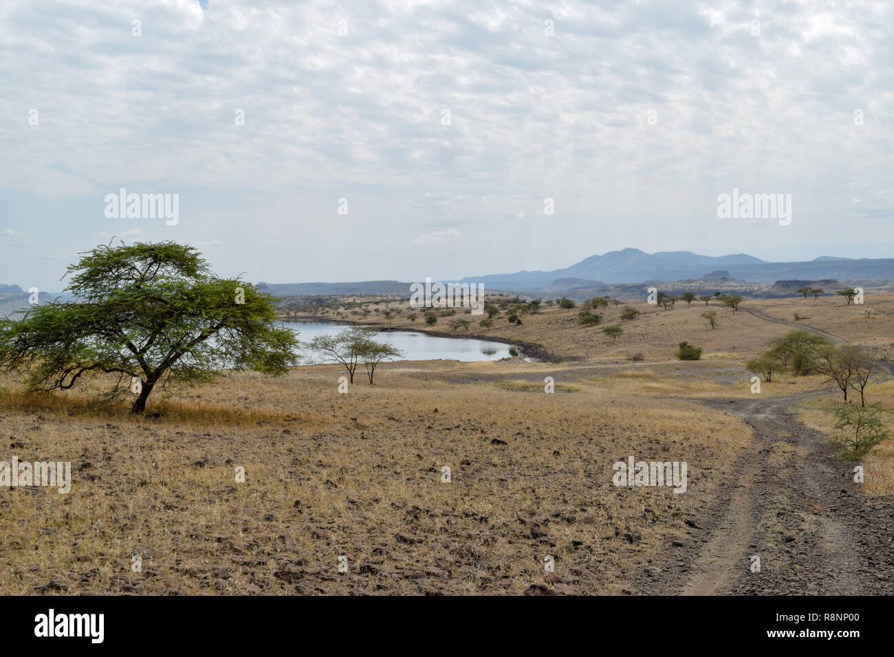 The arid landscapes of Lake Magadi, Rift Valley, Kenya Stock Photo - Alamy