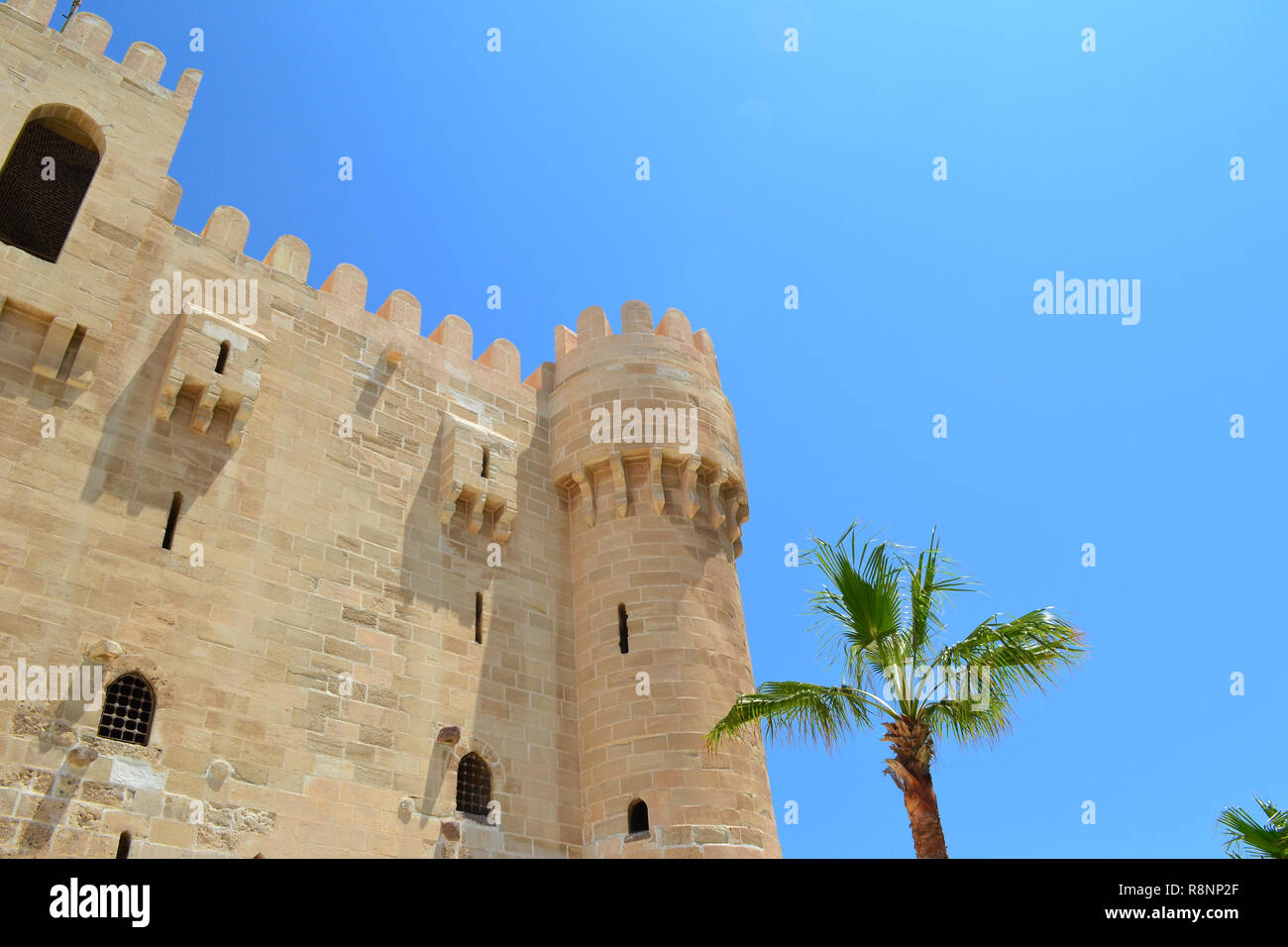 Qaitbay citadel seen from a low angle with palm trees and the blue sky ...