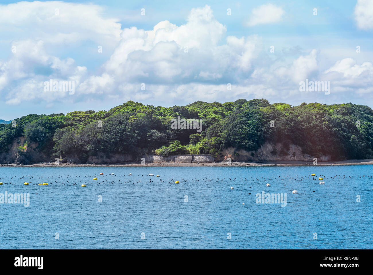 Pearl rows in the ocean, production and cultivation of pearls in the ...