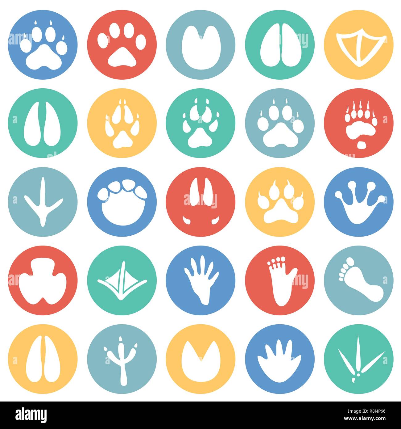 Animal foot prints icons set on color circles background for graphic ...