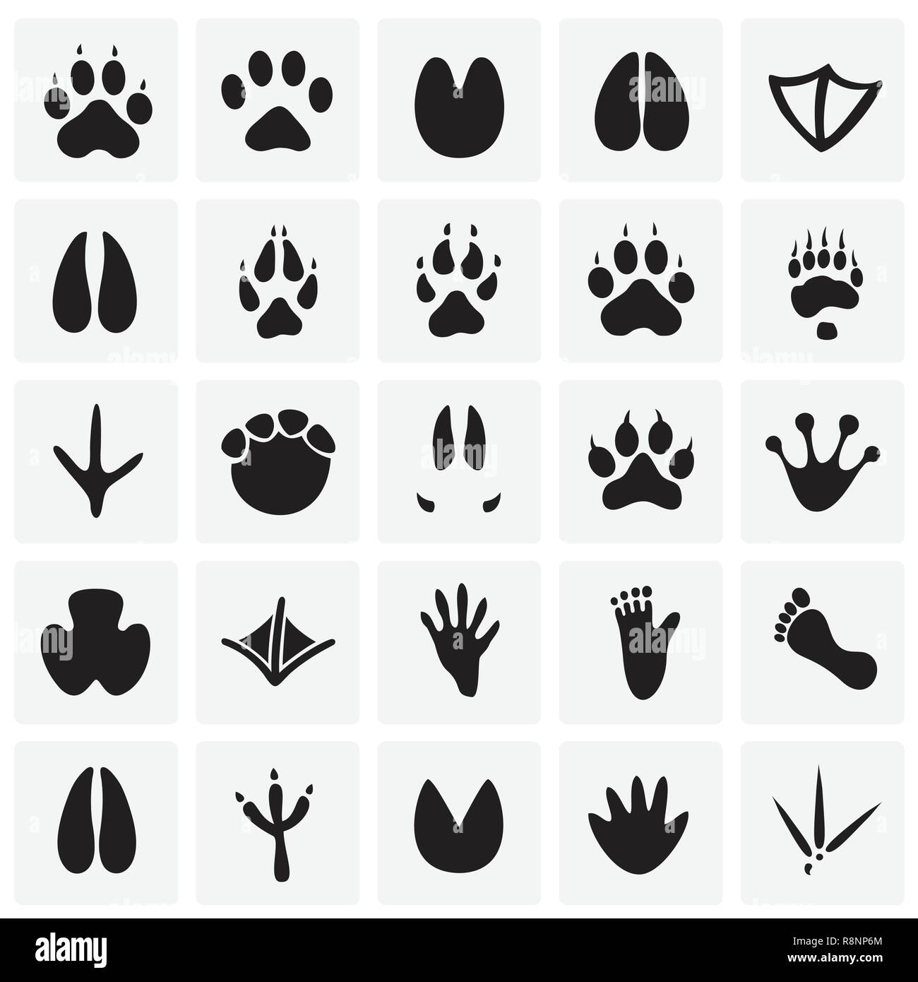Animal foot prints icons set on squares background for graphic and web ...