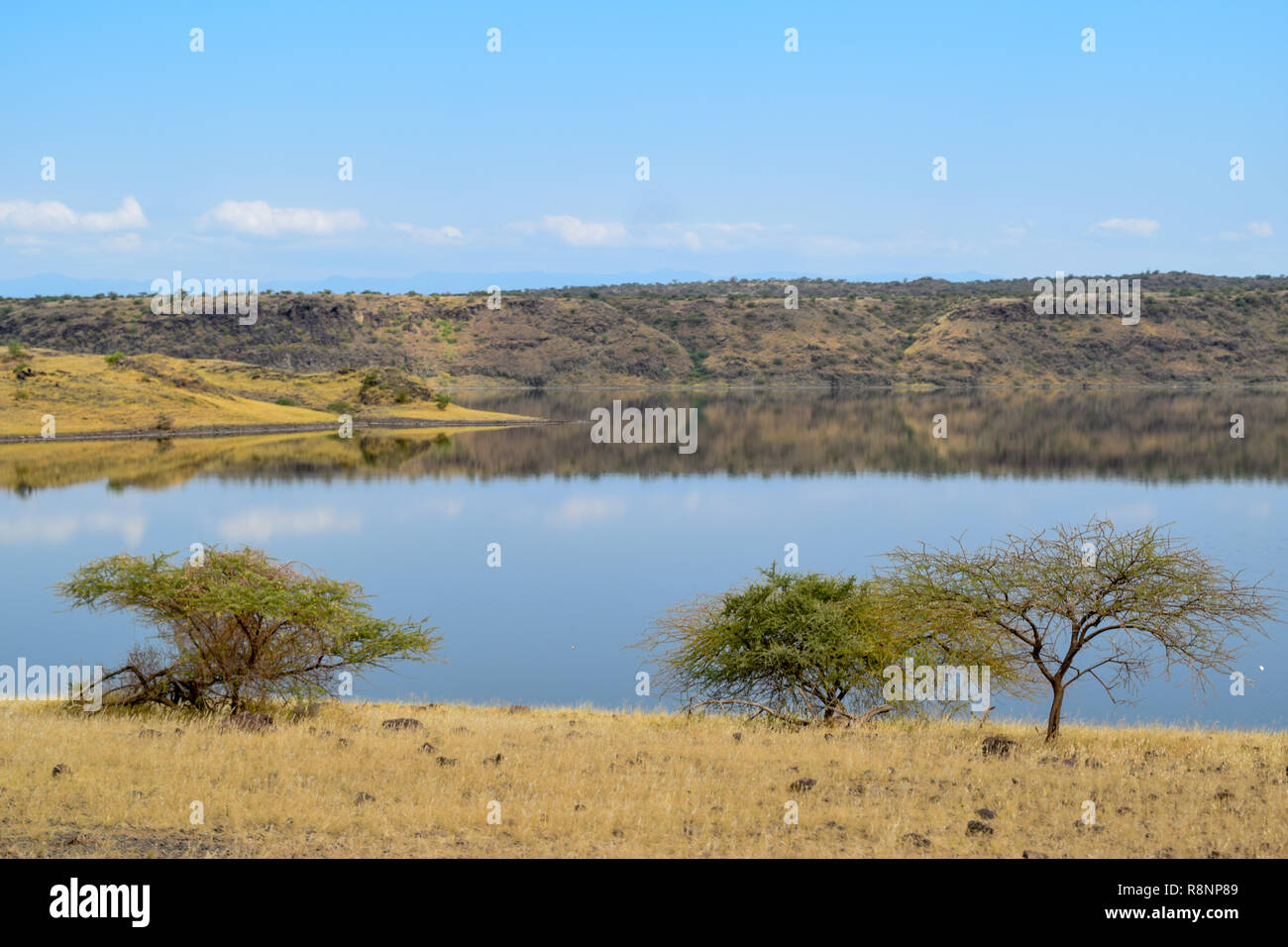The arid landscapes of Lake Magadi, Rift Valley, Kenya Stock Photo - Alamy