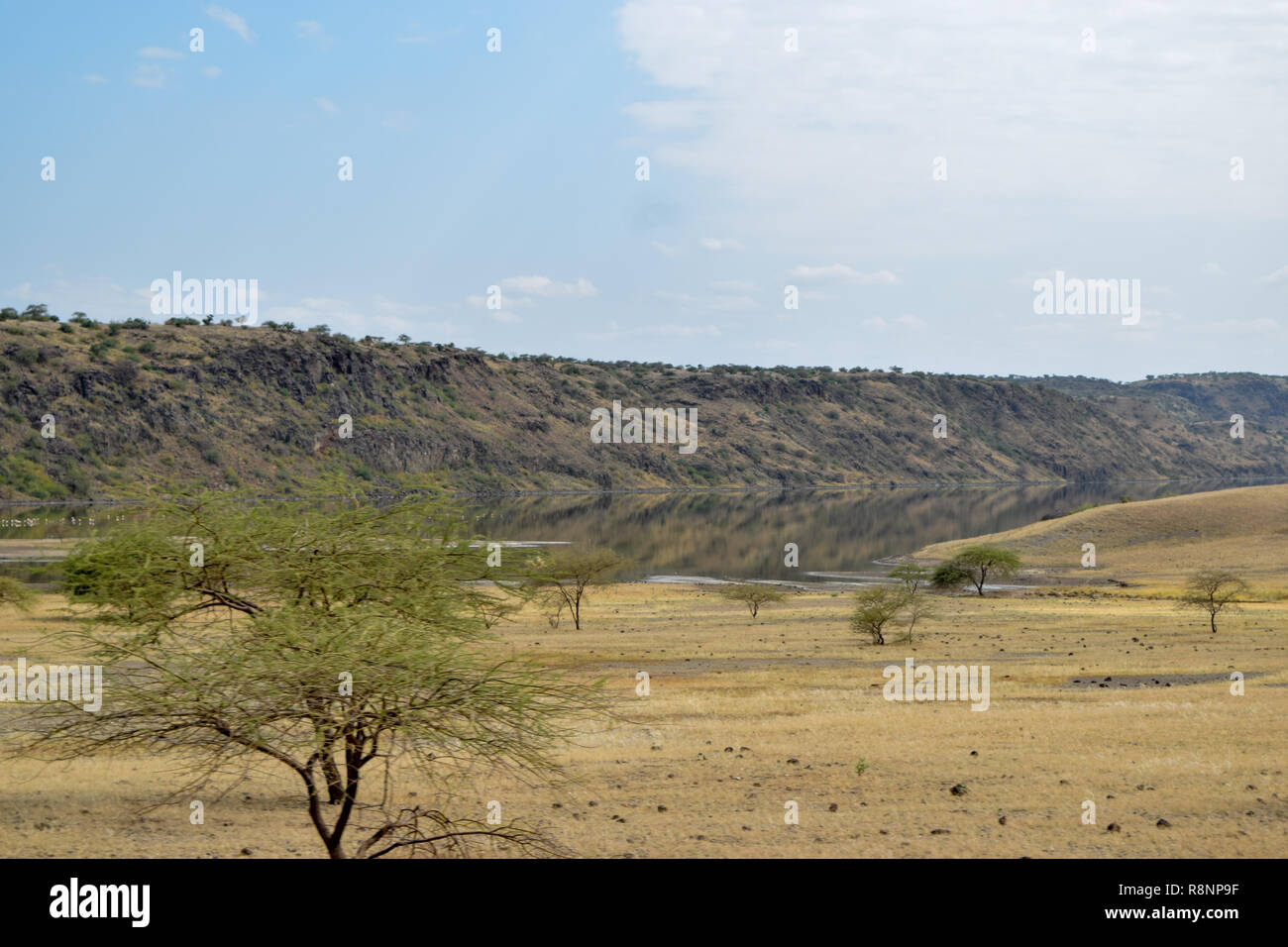 The arid landscapes of Lake Magadi, Rift Valley, Kenya Stock Photo - Alamy