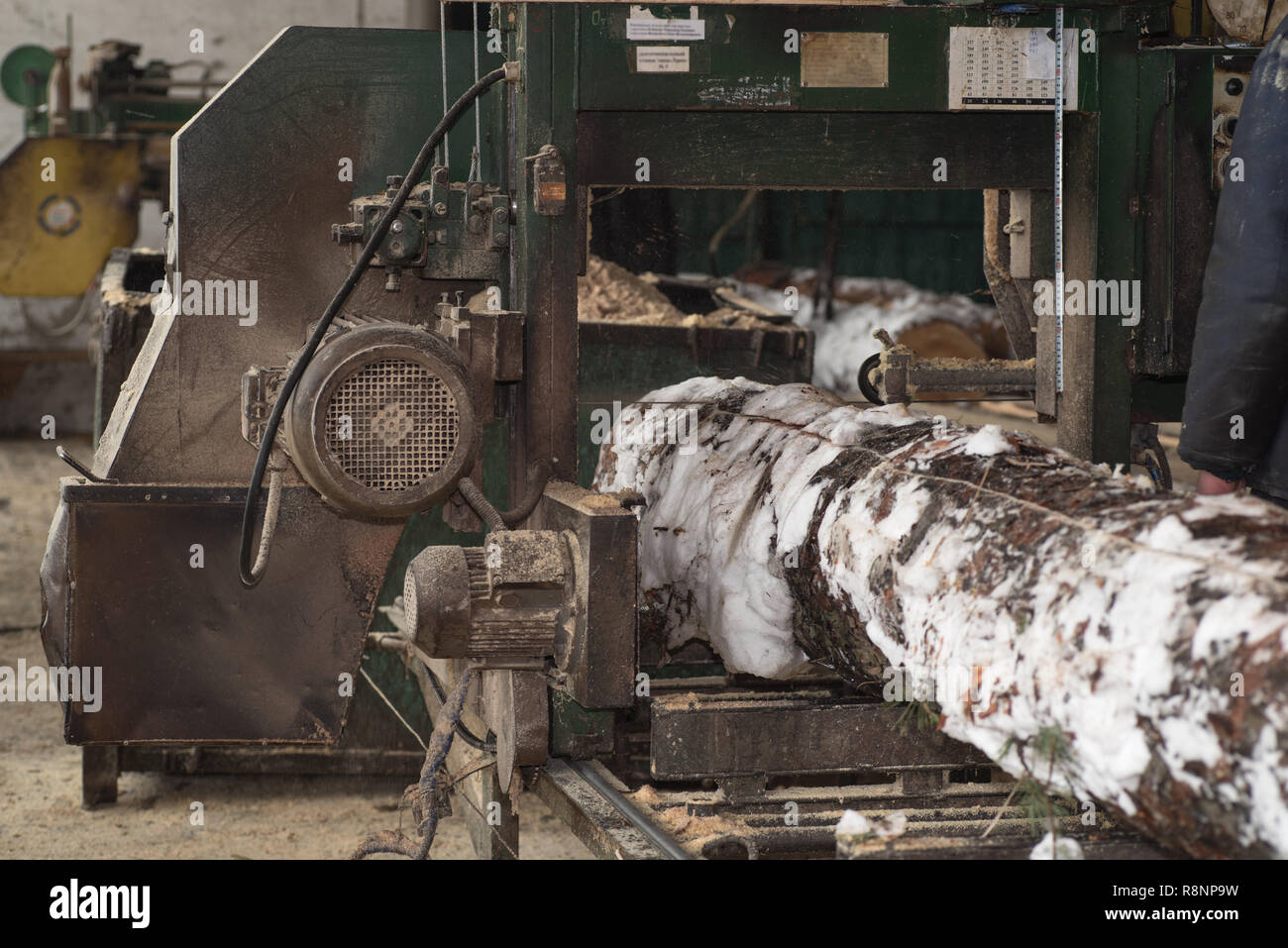 Cutting logs on the boards. In the winter process a tree.Wood ...
